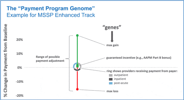 A New Tool to Visualize the “Genetics” of Payment Programs